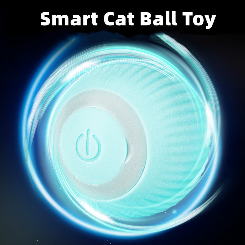 Smart Cat Ball Toys – TOBI'S F.L.O.W. SHOP